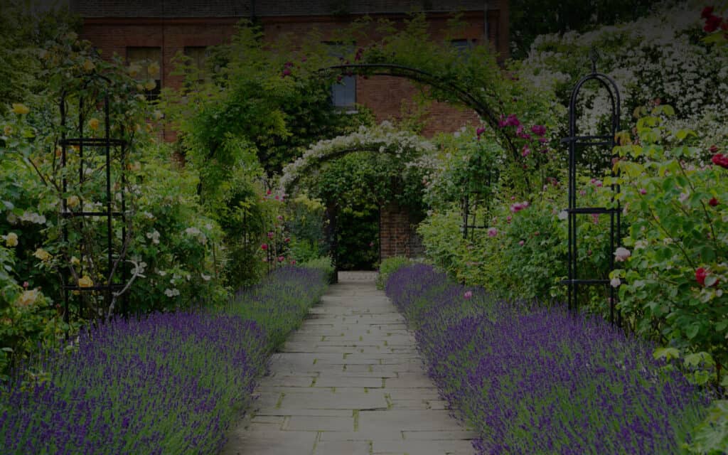 Homepage - Capel Manor Gardens