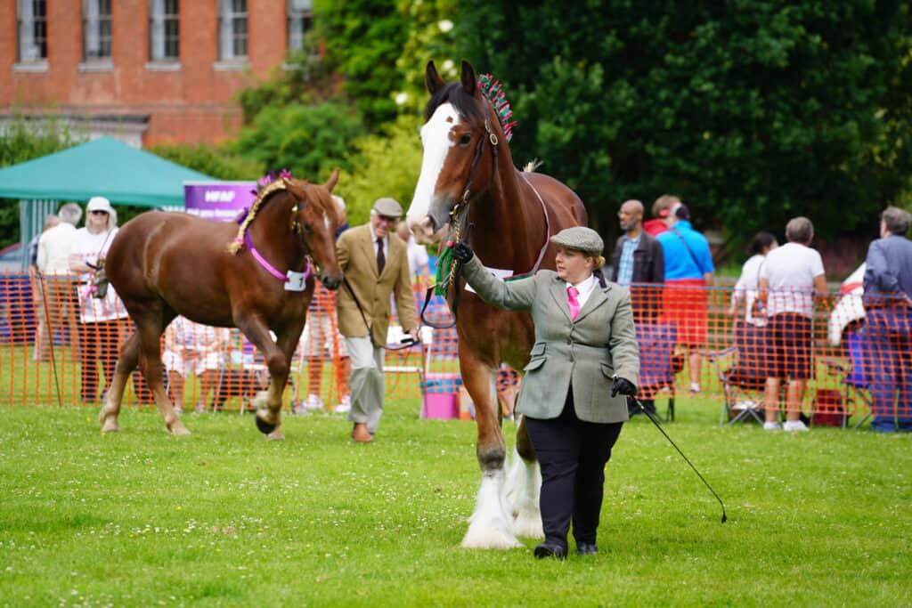 Herts Heavy Horse and Country Show Feedback Survey - Capel Manor Gardens