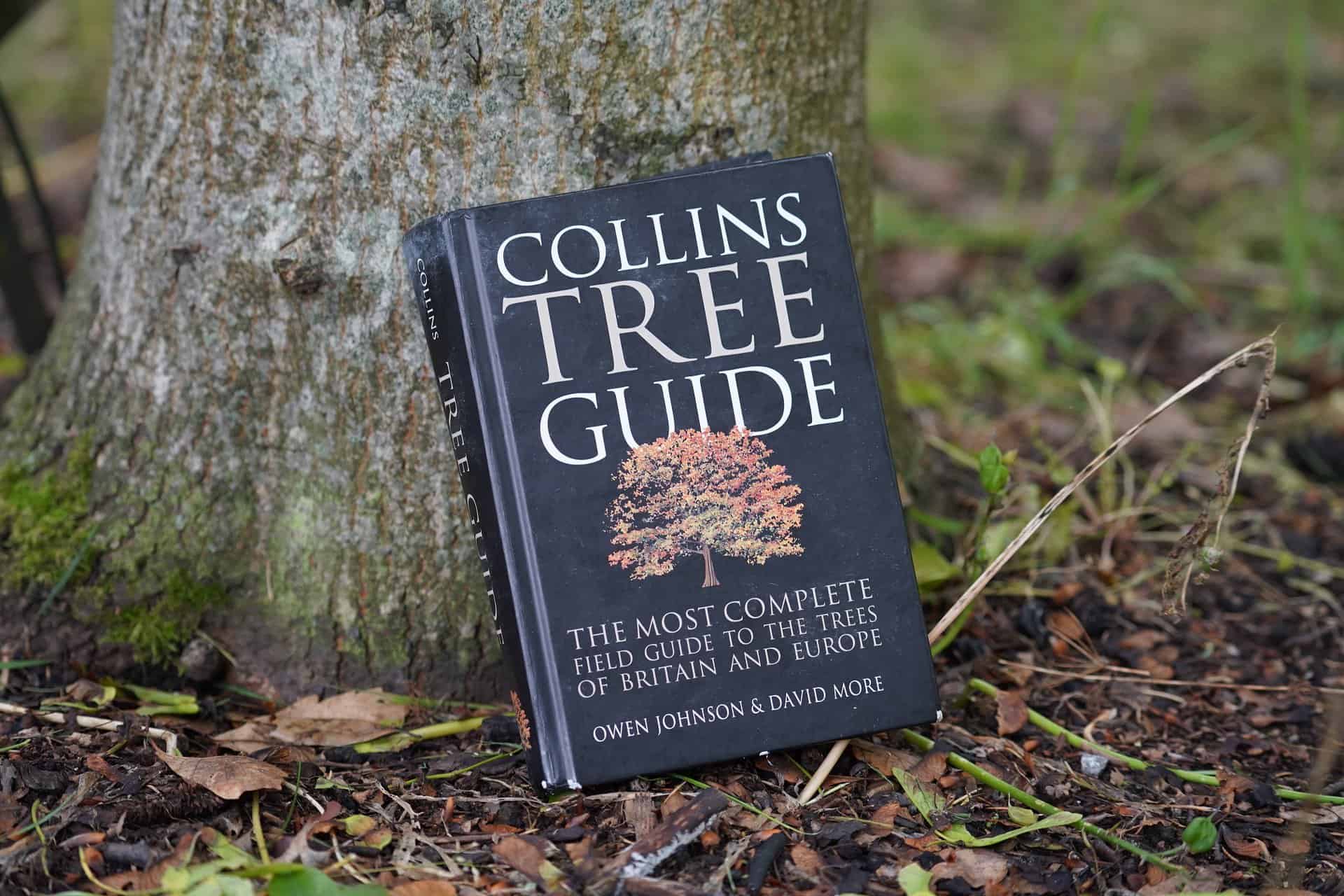 Top Five Unmissable Trees at Capel Manor Gardens - Capel Manor Gardens