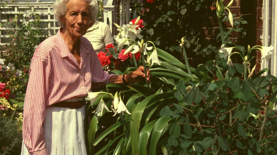 History/Who We Are - Capel Manor Gardens