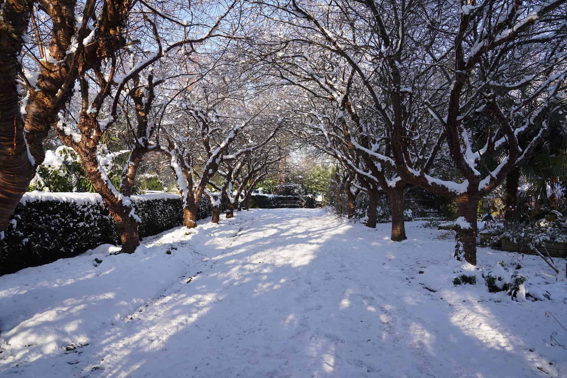 Capel Manor Gardens in the Snow - Capel Manor Gardens