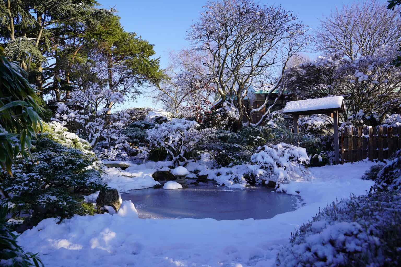 Capel Manor Gardens in the Snow - Capel Manor Gardens