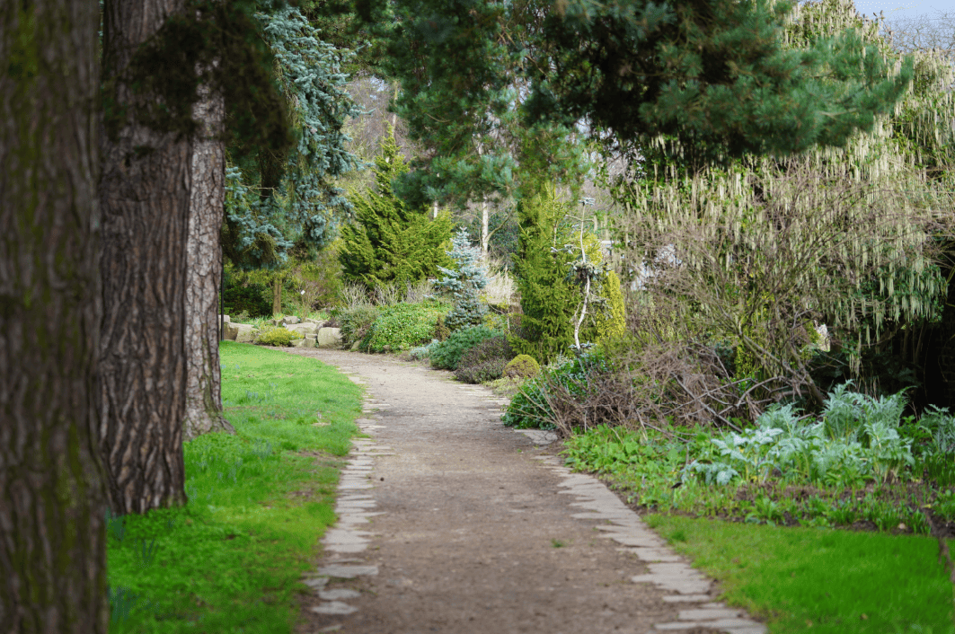 Capel Manor Gardens Launches a New Evergreen Gardens Trail - Capel ...