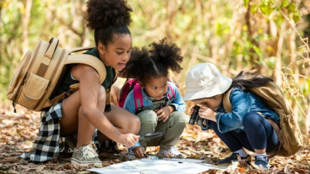 Homepage - Capel Manor Gardens